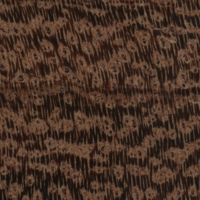 Camelthorn | The Wood Database (Hardwood)