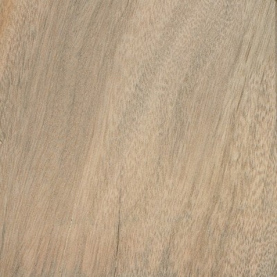 Wood Allergies and Toxicity | The Wood Database