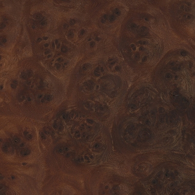 Carpathian Elm (burl) | The Wood Database (Hardwood)