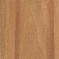 Curupay | The Wood Database - Lumber Identification (Hardwood)