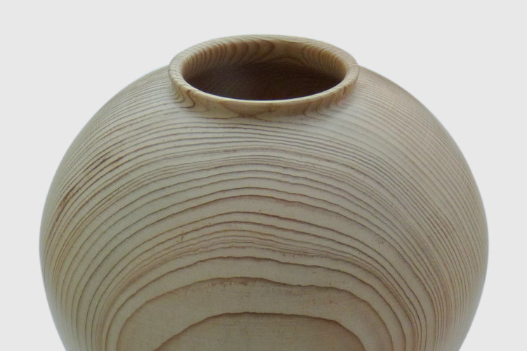 Bald Cypress | The Wood Database (Softwood)