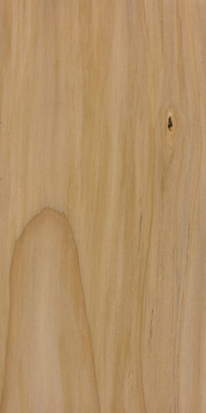 Cyprus Cedar | The Wood Database (Softwood)