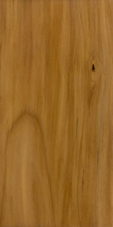 Cyprus Cedar | The Wood Database (Softwood)