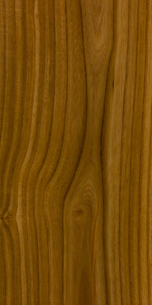 Eastern Redbud | The Wood Database (Hardwood)