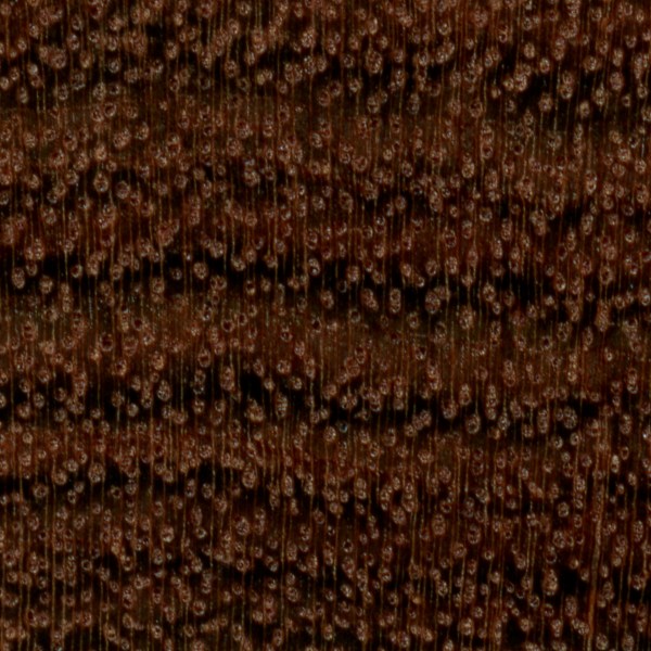 Chechen | The Wood Database - Lumber Identification (Hardwood)