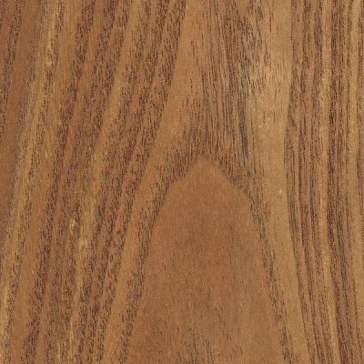 Chinaberry | The Wood Database (Hardwood)