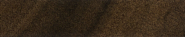 Greenheart | The Wood Database (Hardwood)