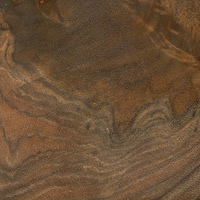 Claro Walnut | The Wood Database (Hardwood)