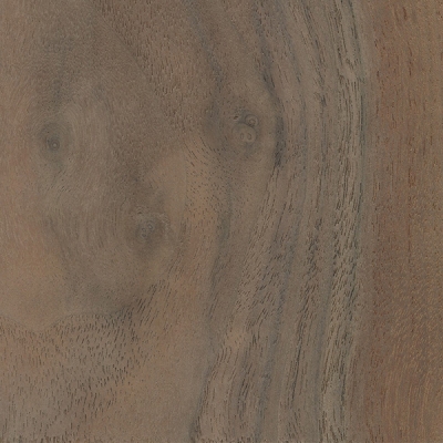 Black Walnut | The Wood Database (Hardwood)