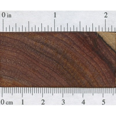 Cocobolo | The Wood Database - Lumber Identification (Hardwood)