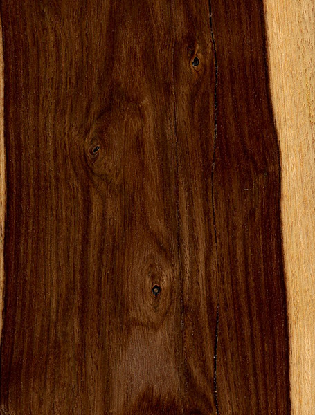 Cocuswood | The Wood Database - Lumber Identification (Hardwood)