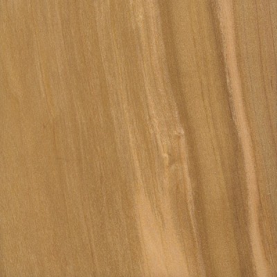 Crack Willow | The Wood Database (Hardwood)