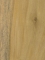 Cucumbertree | The Wood Database (Hardwood)