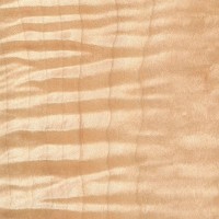 Curly Maple | The Wood Database - Lumber Identification (Hardwood)