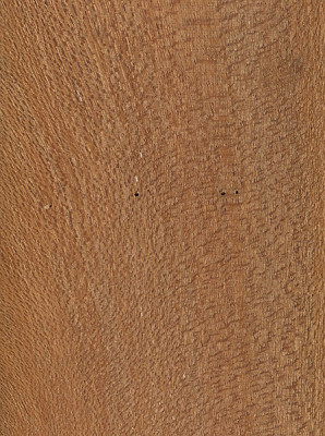 Lauan | The Wood Database (Hardwood)