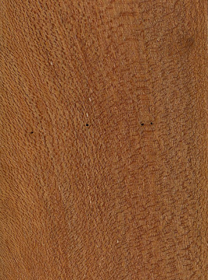 Dark Red Meranti | The Wood Database (Hardwood)