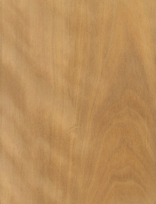 Lemonwood | The Wood Database (Hardwood)