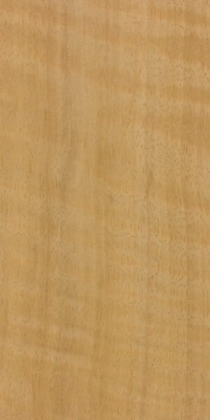 Sorting Out Satinwoods | The Wood Database