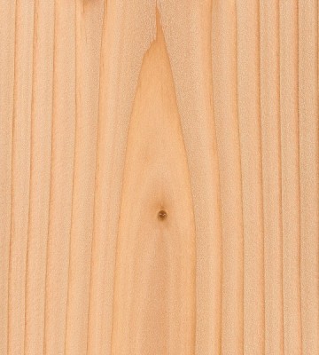 Douglas-Fir | The Wood Database (Softwood)