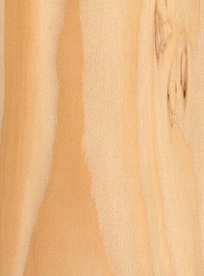 Eastern Hemlock | The Wood Database (Softwood)