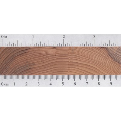 European Yew | The Wood Database - Lumber Identification (Softwood)