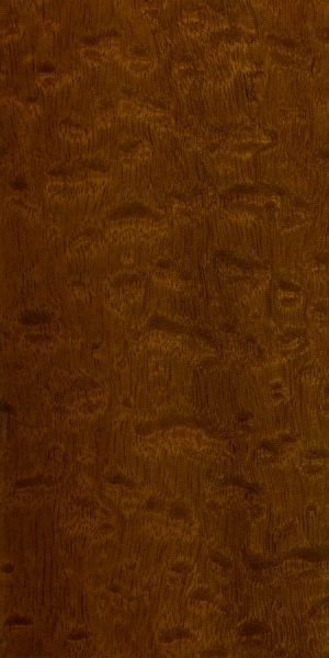 Sapele | The Wood Database (Hardwood)