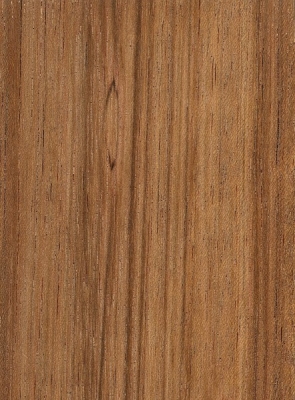 Etimoe | The Wood Database (Hardwood)