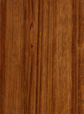 Etimoe | The Wood Database (Hardwood)