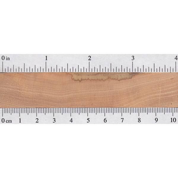 European Alder | The Wood Database - Lumber Identification (Hardwood)