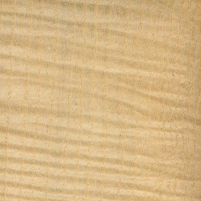 European Ash | The Wood Database (Hardwood)