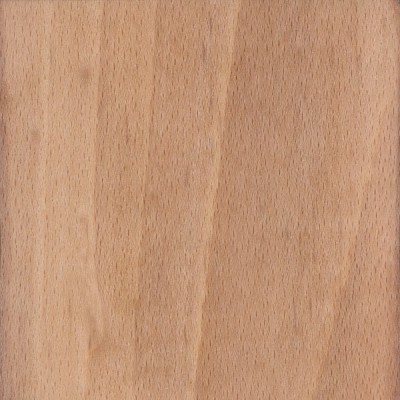 European Beech | The Wood Database - Lumber Identification (Hardwood)