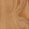 European Larch | The Wood Database (Softwood)