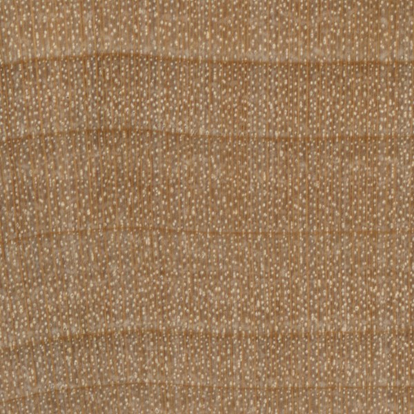 Field Maple | The Wood Database - Lumber Identification (Hardwood)