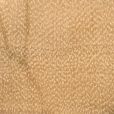 Gray Birch | The Wood Database (Hardwood)