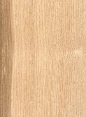 Swamp Ash | The Wood Database (Hardwood)