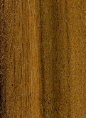 The Ten Best Woods You've Never Heard Of | The Wood Database