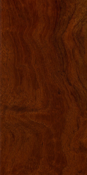 Bubinga | The Wood Database (Hardwood)