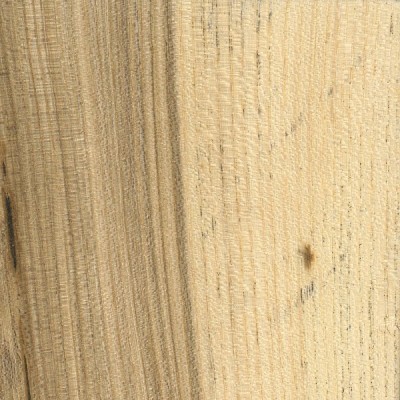 Hackberry | The Wood Database (Hardwood)