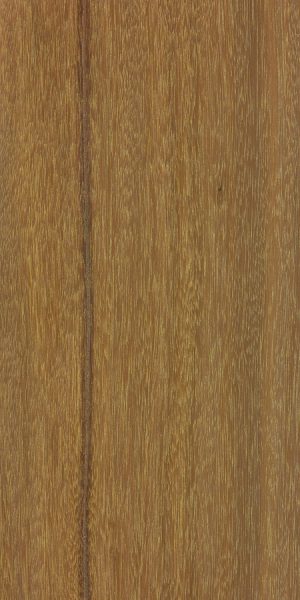 Yellow Lapacho | The Wood Database (Hardwood)