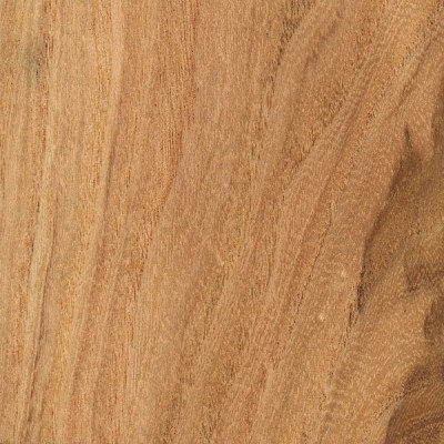 Honey Locust | The Wood Database (Hardwood)
