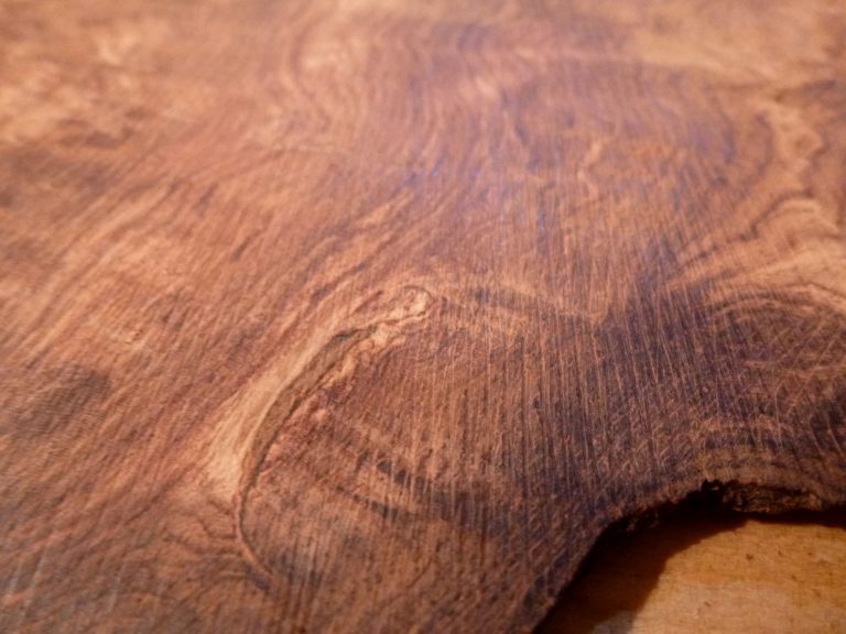 Boxwood | The Wood Database - Lumber Identification (Hardwood)