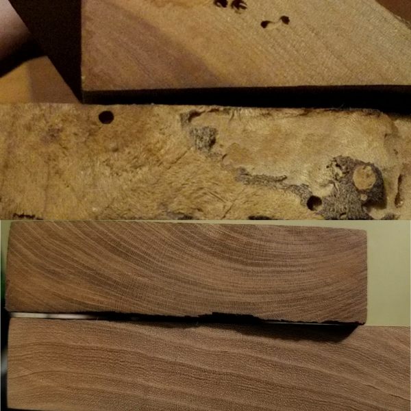 Wood Identification Guide | The Wood Database