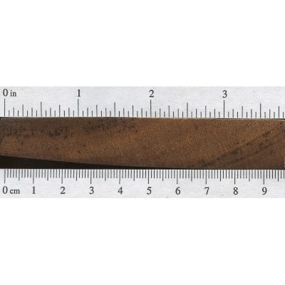 Anjan | The Wood Database (Hardwood)