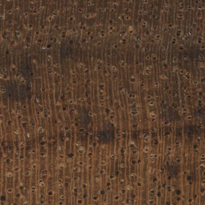 Anjan | The Wood Database (Hardwood)