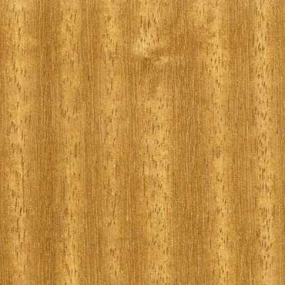 Iroko | The Wood Database - Lumber Identification (Hardwood)