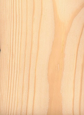 Jack Pine | The Wood Database (Softwood)