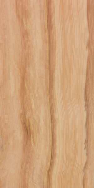 Western Juniper | The Wood Database (Softwood)