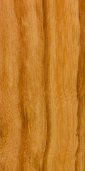 Western Juniper | The Wood Database (Softwood)