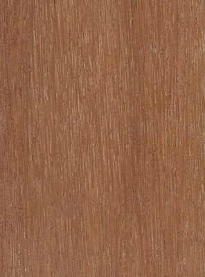 Keruing | The Wood Database (Hardwood)