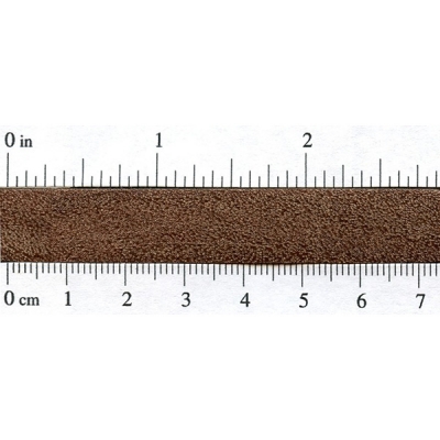 Keruing | The Wood Database (Hardwood)